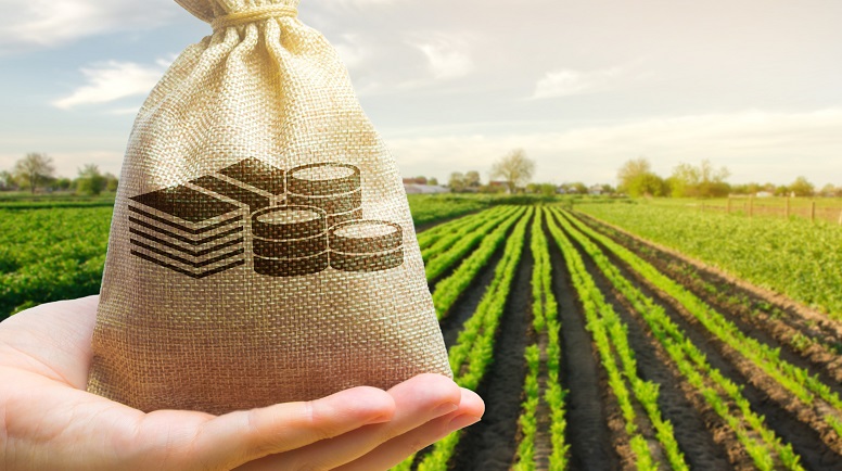 Podatek rolny - czym jest? :: RMF FM