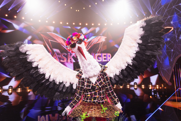 "Mask Singer". Bocian. Kim jest? Widzowie wpadli na ciekawy trop :: RMF FM