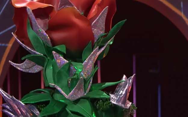 "Mask Singer". Róża ujawniona! Ta uczestniczka zdjęła maskę! Kim jest ...