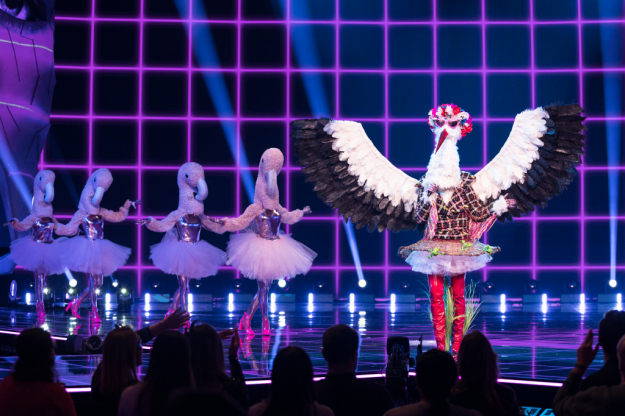 "Mask Singer". Bocian to...? Tropy wskazują na tę wokalistkę. Wszystko ...